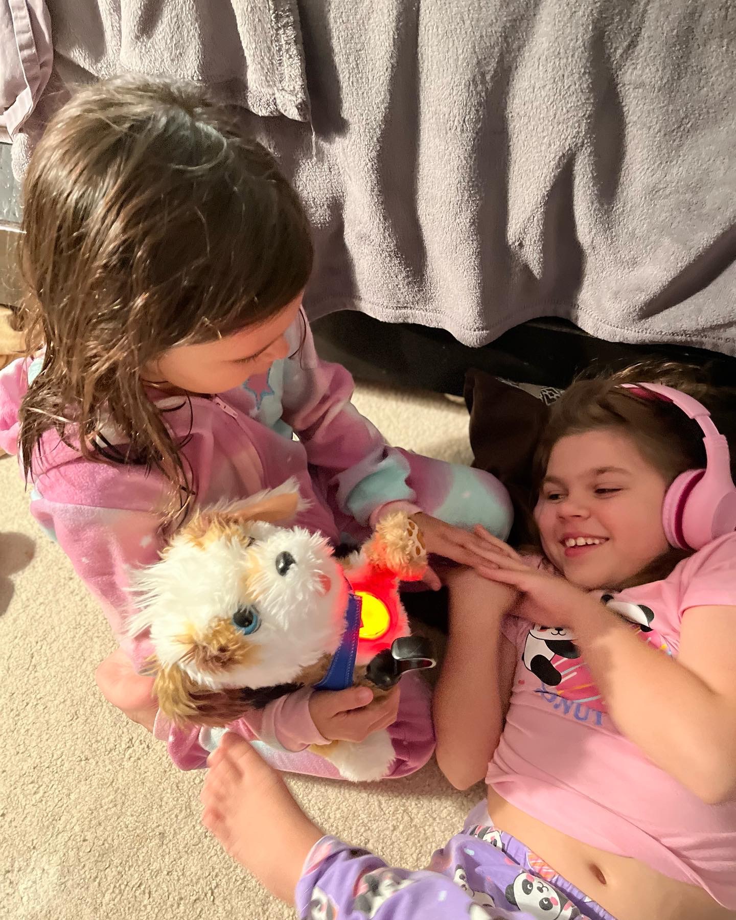 Bouncy the Helper Dog – Autism: A Little Wild