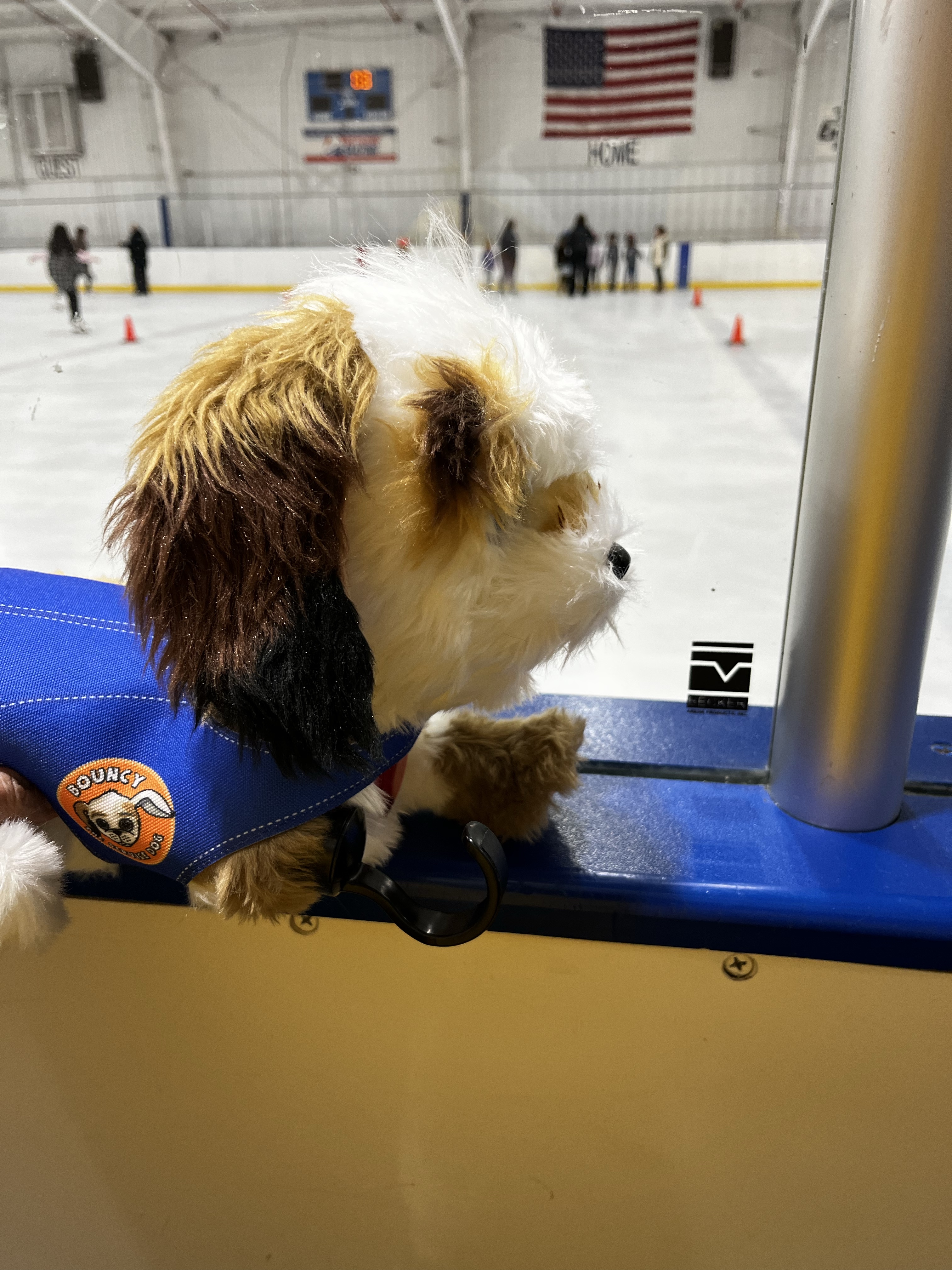 Bouncy the Helper Dog – Autism: A Little Wild